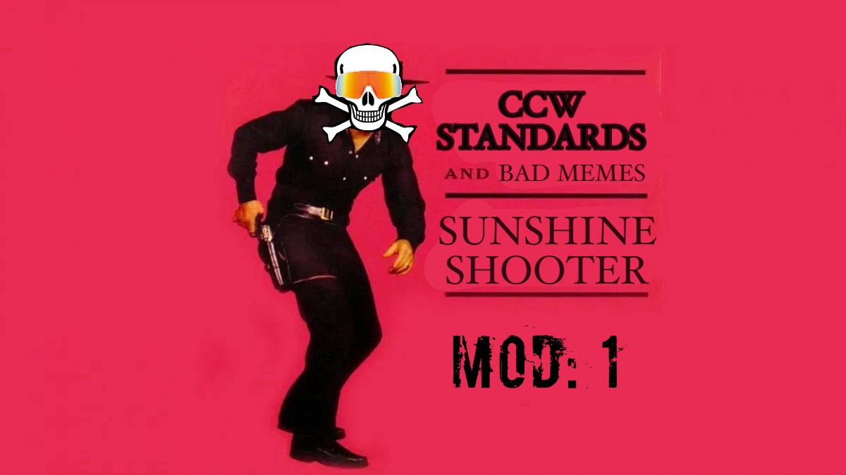 Pro-Gun Millennial Standards: CCW Standard Mod: 1 – Pro-Gun Millennial