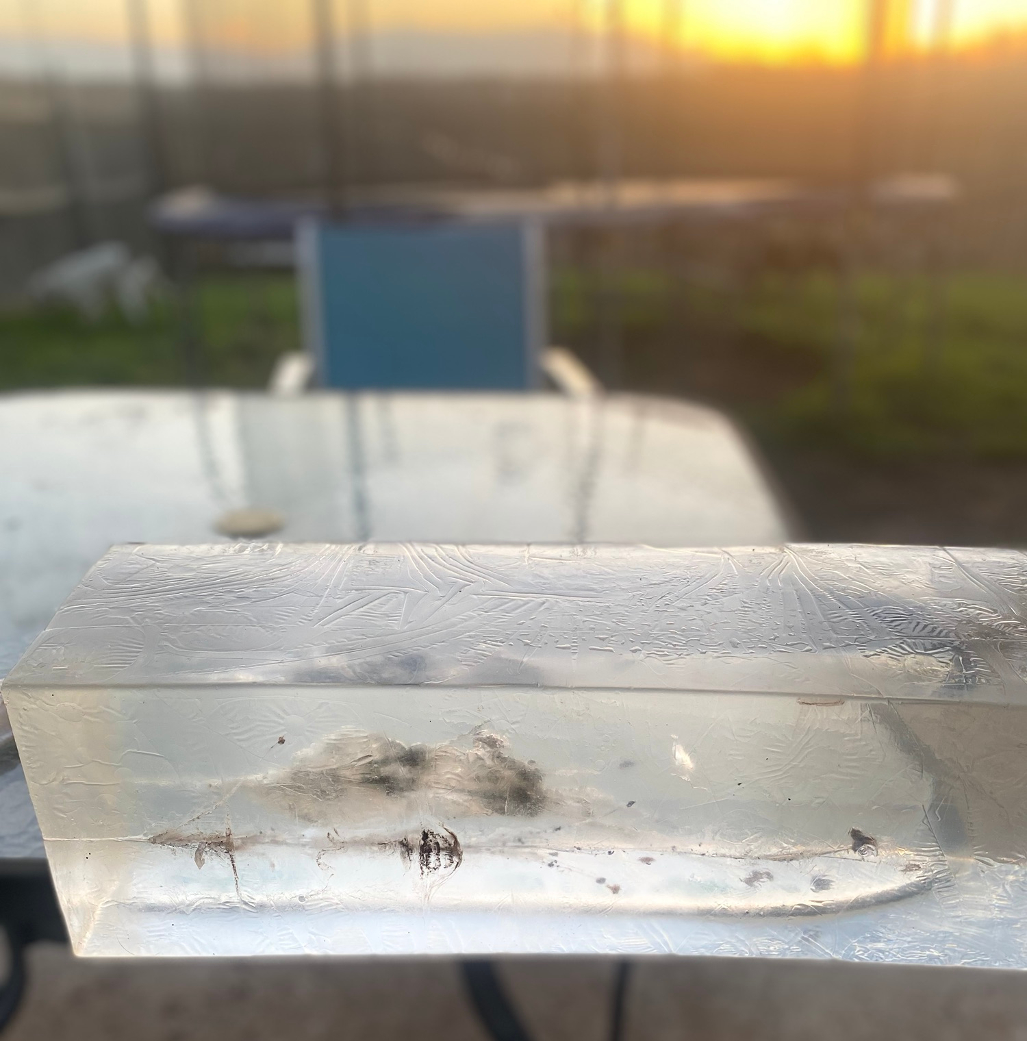 Good or Garbage in SBRs? 77gr OTM 5.56 from Black Hills – Pro-Gun ...